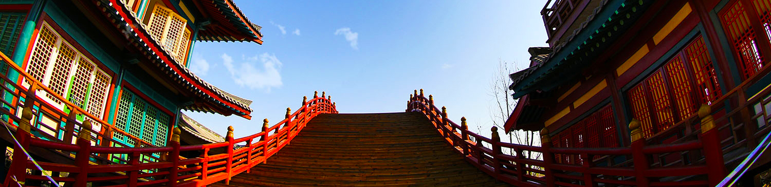 Tang Elite Guard Troops 唐禁軍