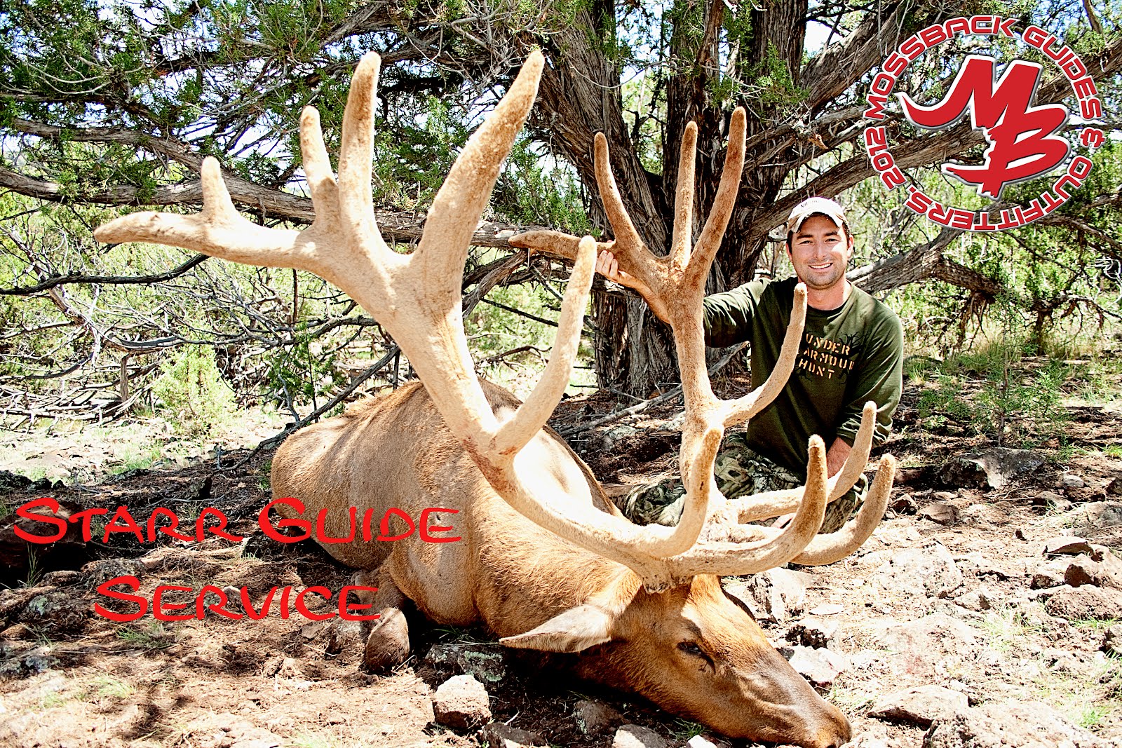 A3 Trophy Hunts LLC : AZ Giant Hits the Dirt 440" Bull