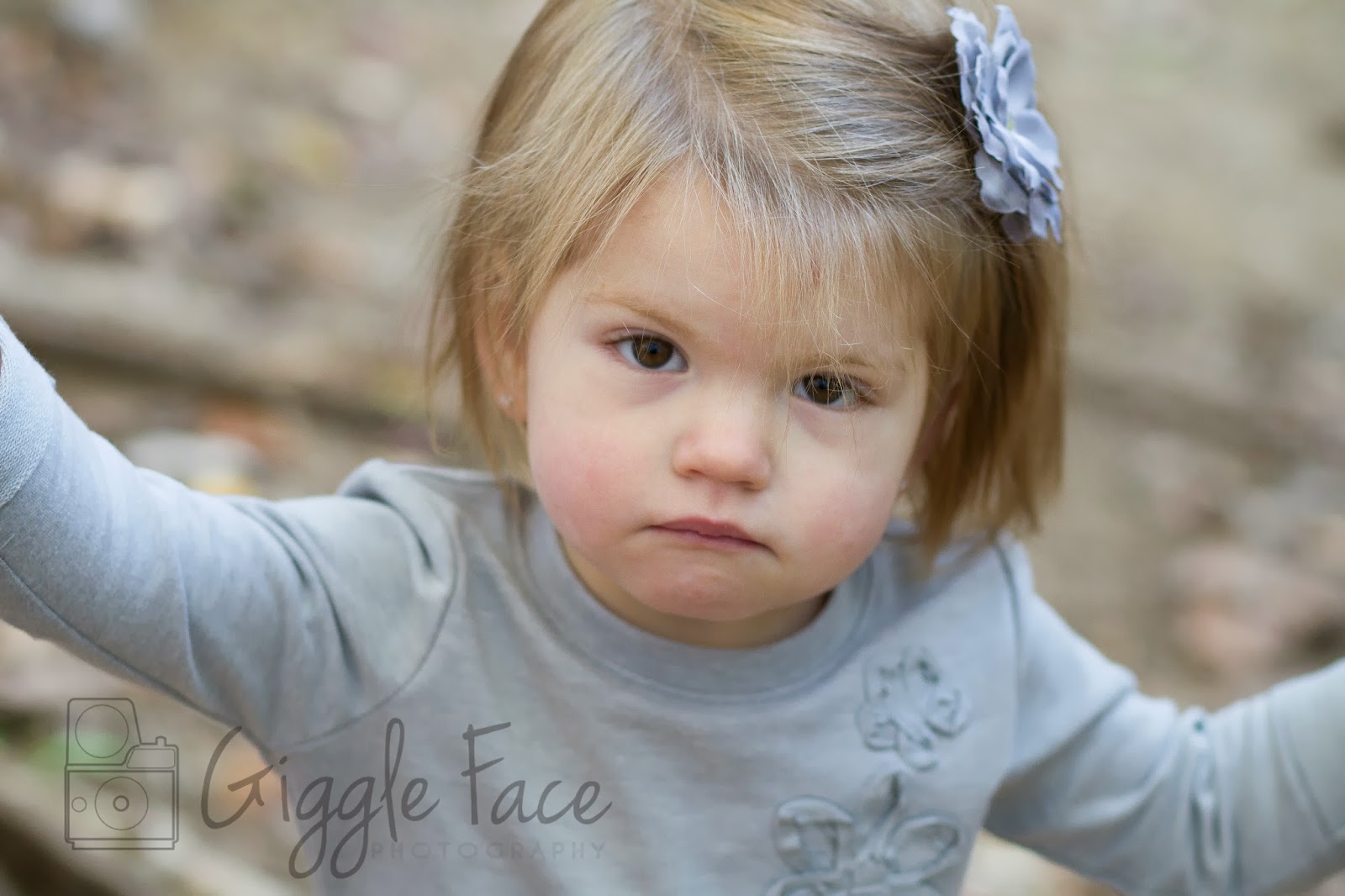 Giggle Face Photography: Reynolds Family