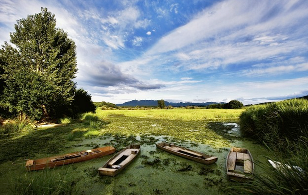 Upo Marsh - Asian Tours