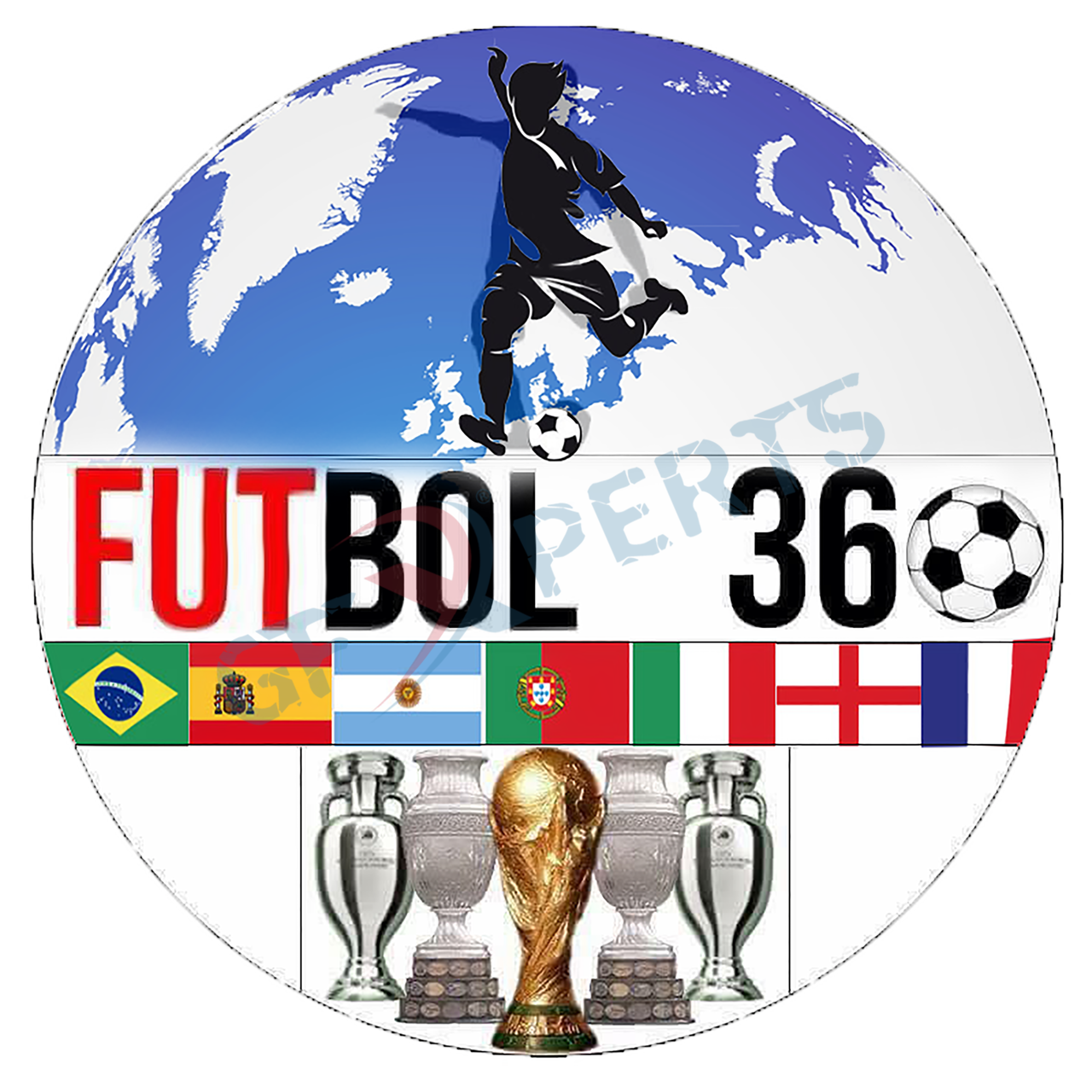 Graphics Expert / Professional Web Developer