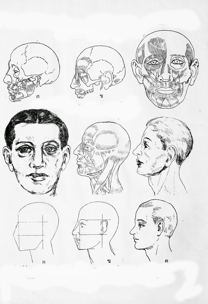 FASHION ILLUSTRATIONS: Facial structure