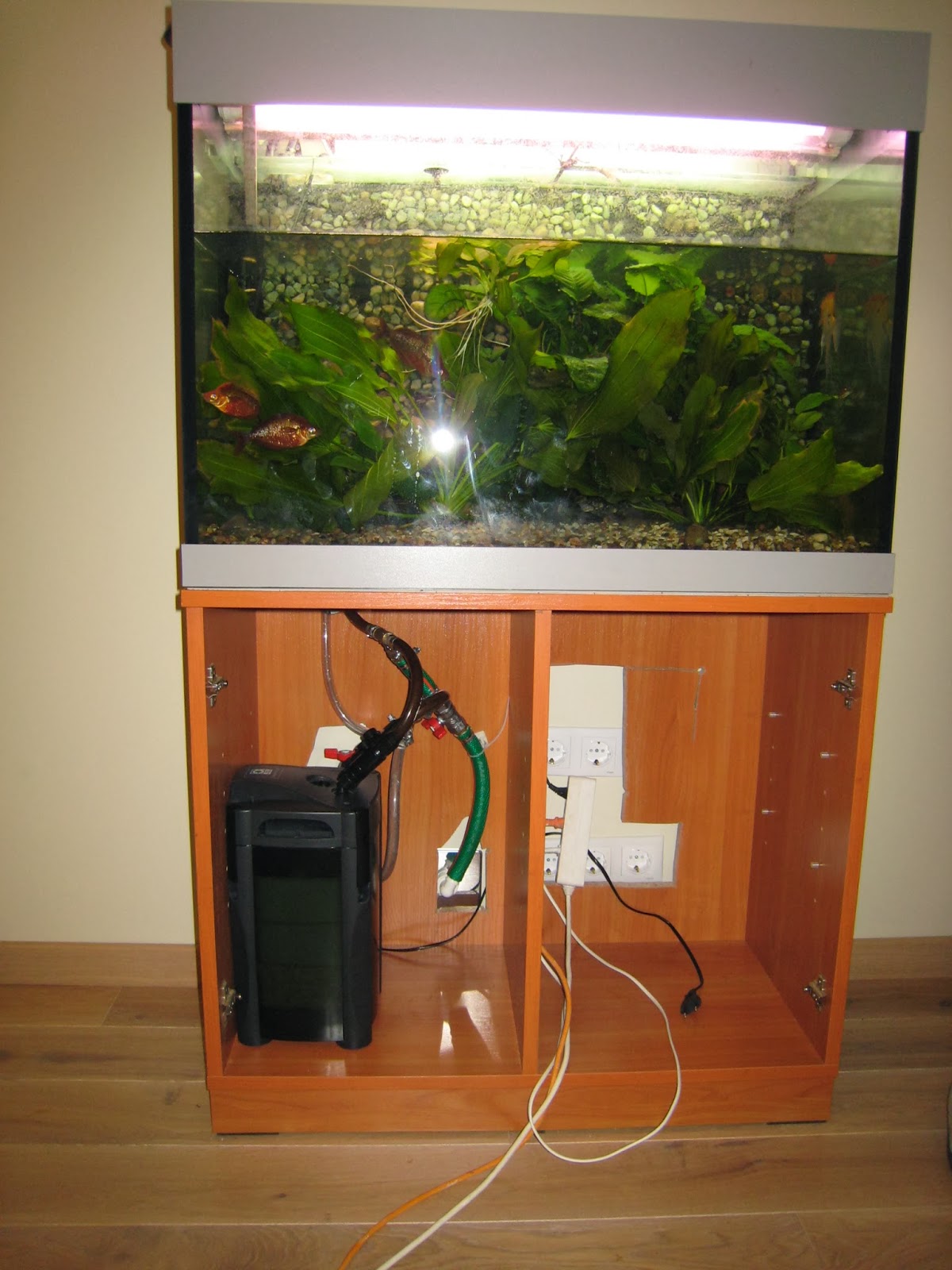 Raituzo namo statybos: Akvariumas - namo interjero puošmena