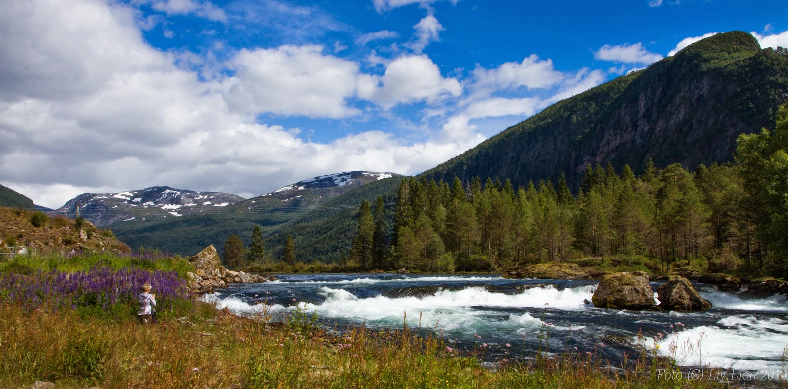 Rundt omkring: Framfjord og Arnafjord.