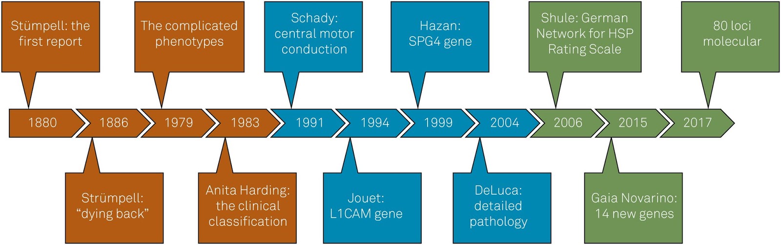 A journey to HSP/FSP: A brief history of HSP