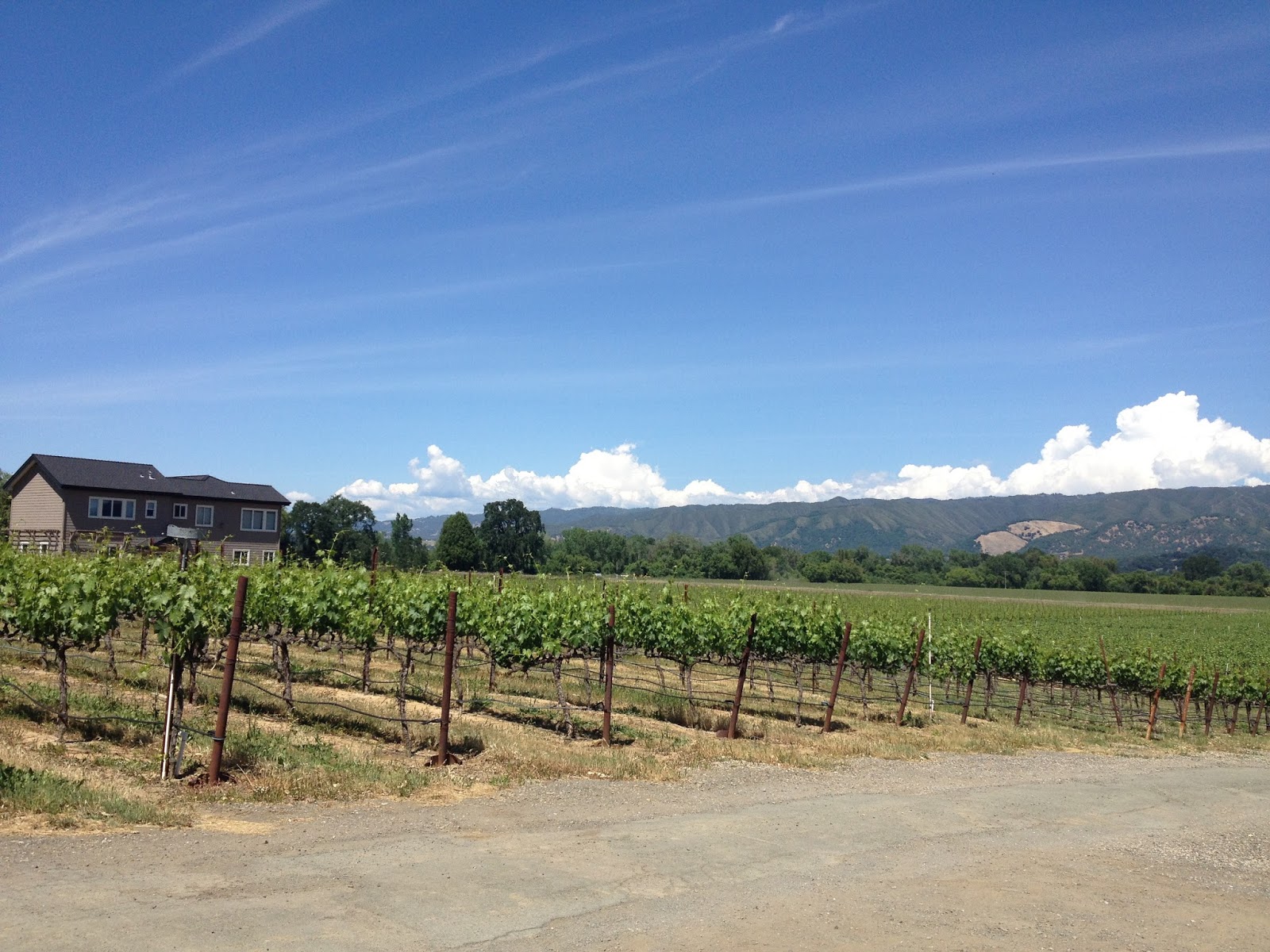 Rex & Cristina : Our First Day In California