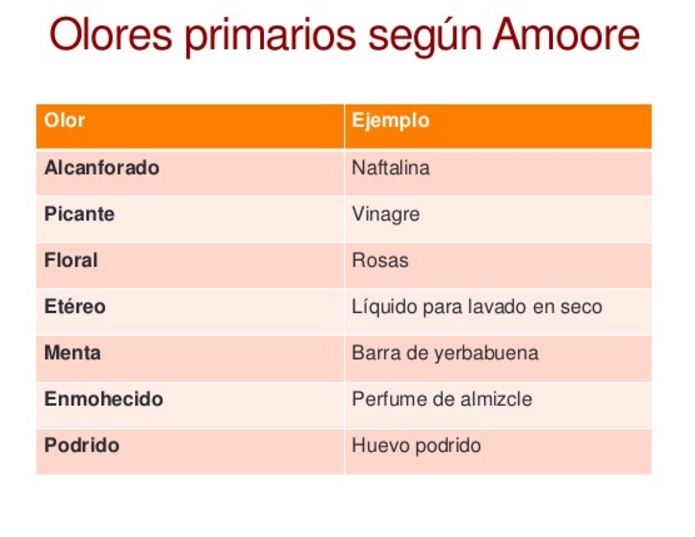Anatomía Aplicada: TIPOS DE OLORES