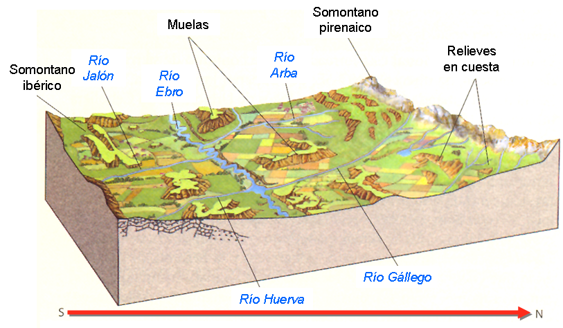 NH3tiernogalvan: El examen de geografía.