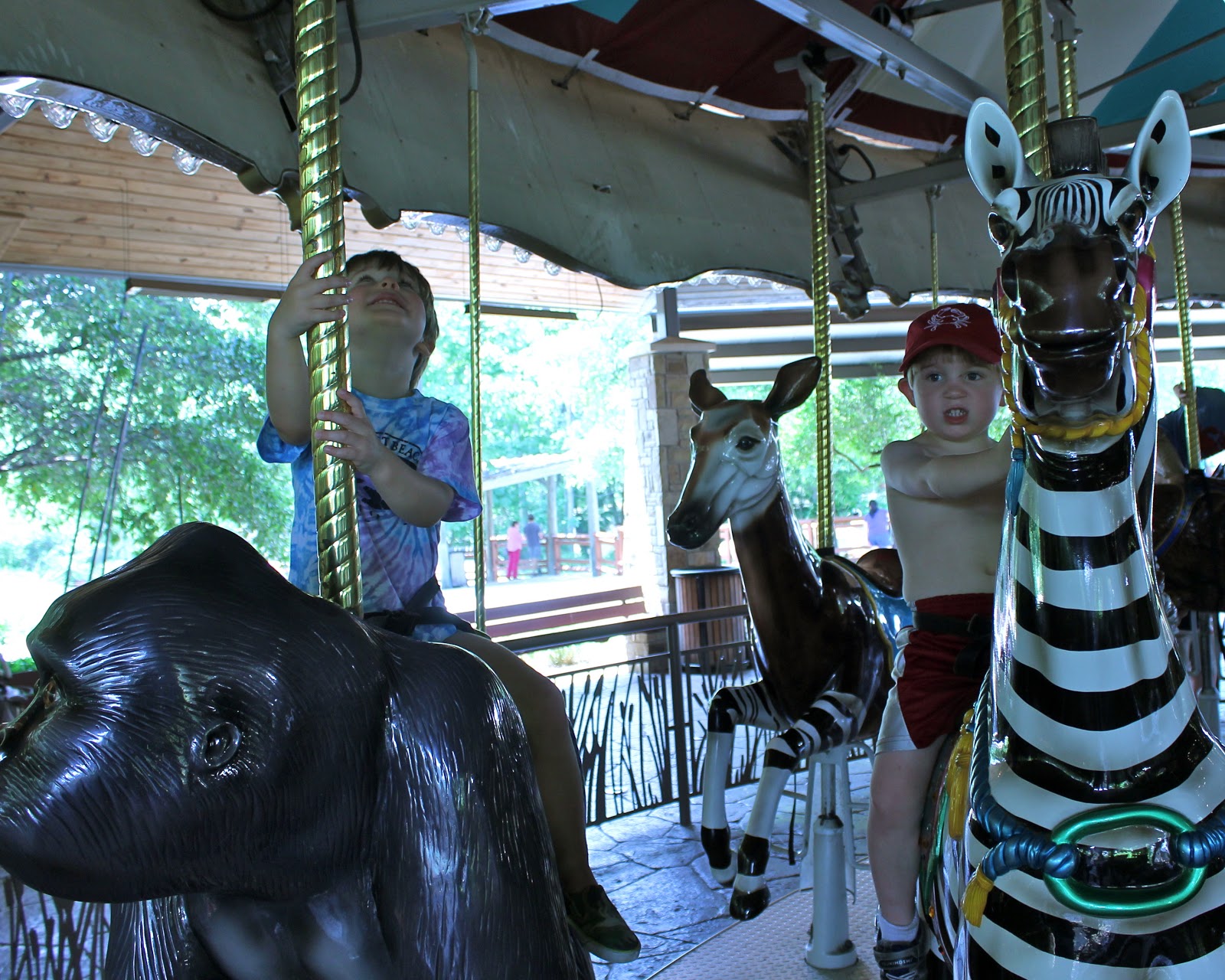 Dallas Arboretum, Zoo, Cousins…. the Beginning of a Fun Filled Week!