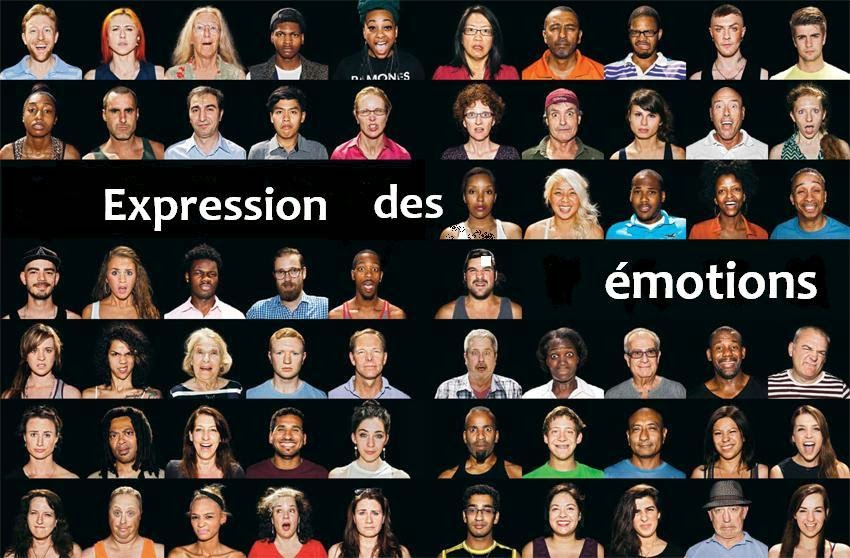 EN ROUTE avec ANDREA : Les sensations et les émotions