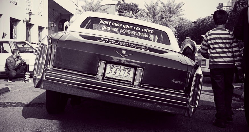 The Pic-a-daily Project: Low Liner