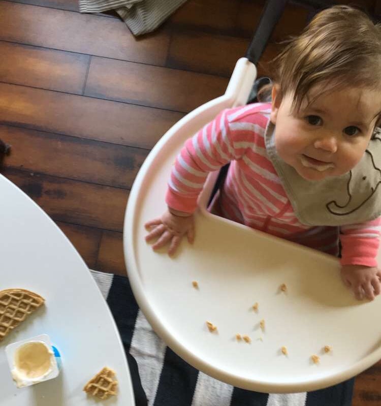 BABY KAUFMAN ADVENTURES: Homemade Baby Food