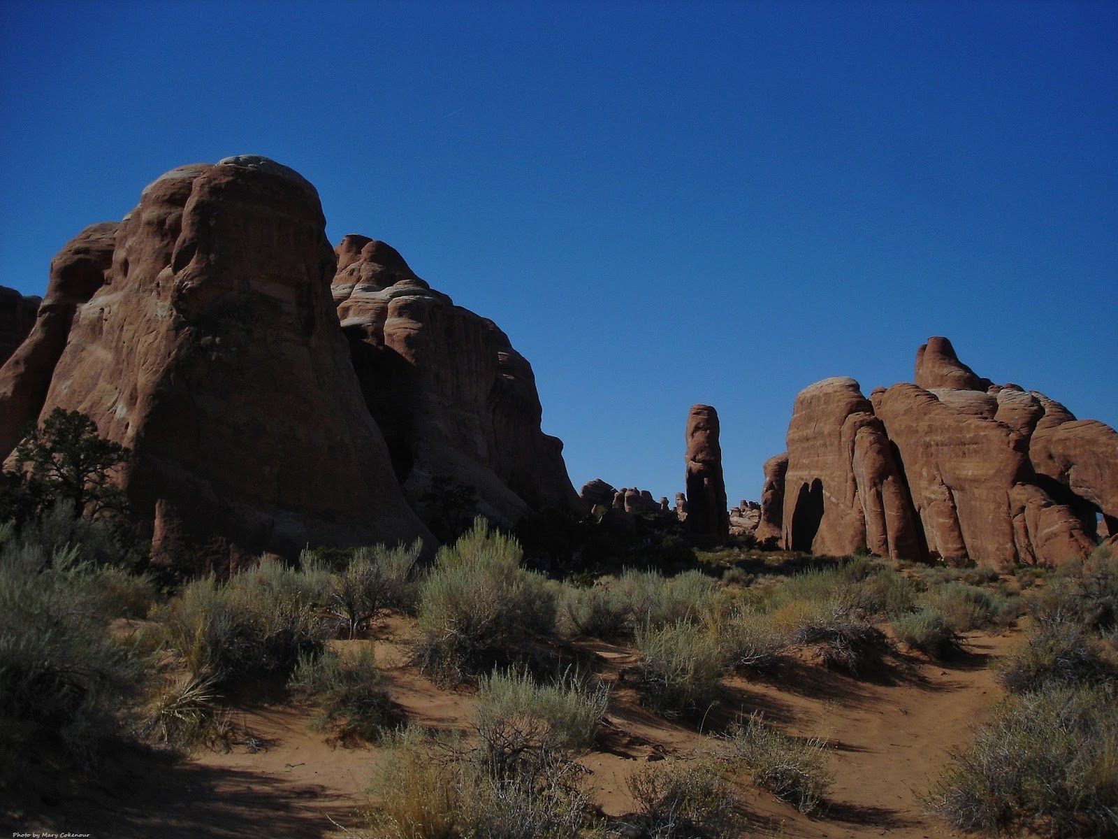 The Southwest Through Wide Brown Eyes: Arches National Park - Devil's ...