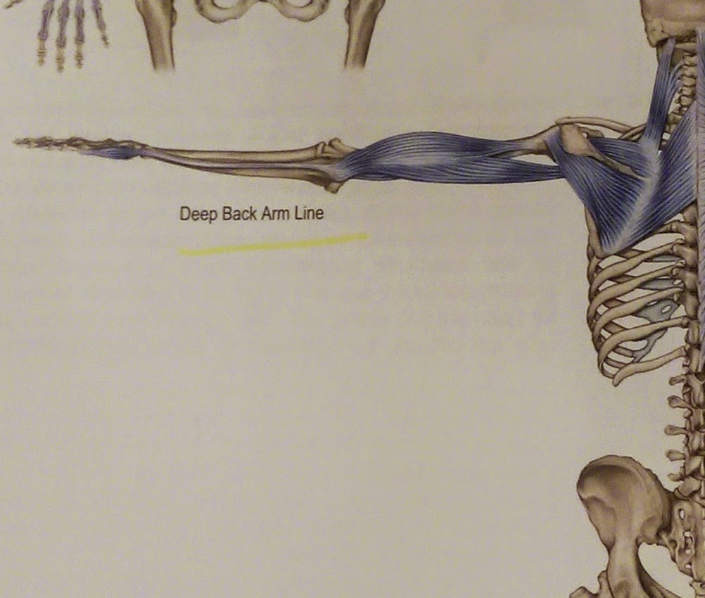 Balance: 7. The Deep Back Arm Line