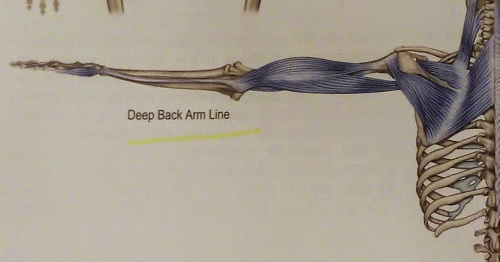 Balance: 7. The Deep Back Arm Line