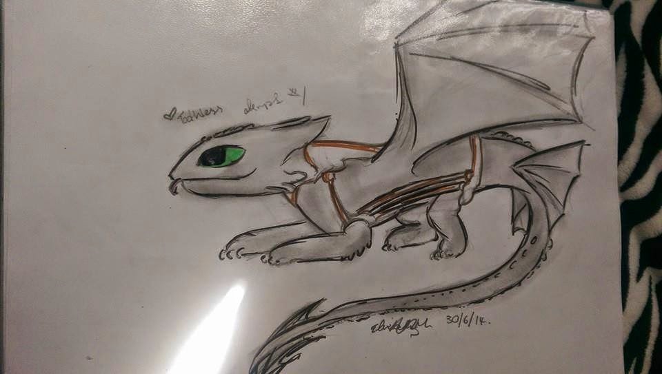 DRAGONII: Furia noptii