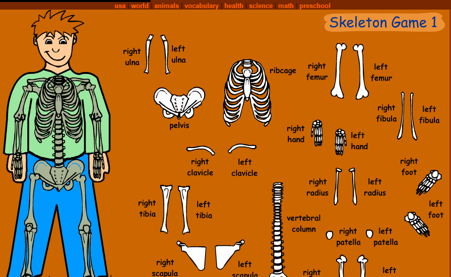 PROYECTO BILINGUE CBM: Skeleton Game 1