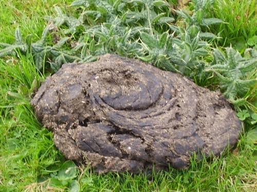 Pregunta a Podemos: Monedero, Monedero... ¿Dónde guardas el dinero? # ...