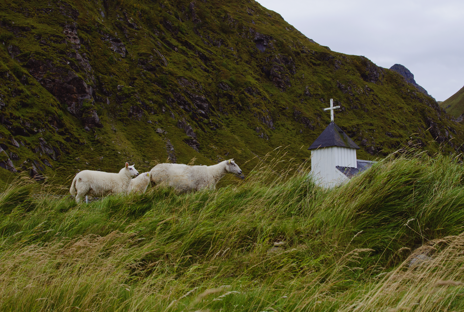 rohelisemrohi: Norra 2.0: Lofoodid (kuidas me jälle üle 3000 km maha ...