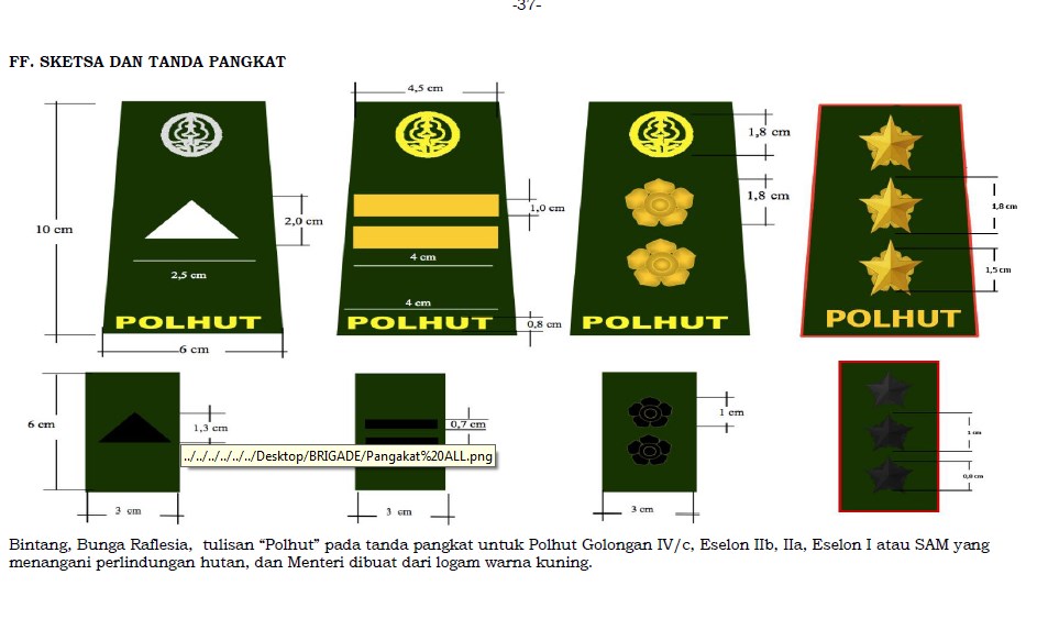 TANDA KEPANGKATAN POLISI KEHUTANAN (POLHUT) TERBARU 2017 - ARTIKEL LHK