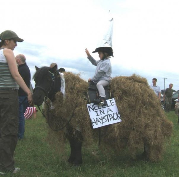 Horse Fancy Dress Ideas: Needle in a Haystack