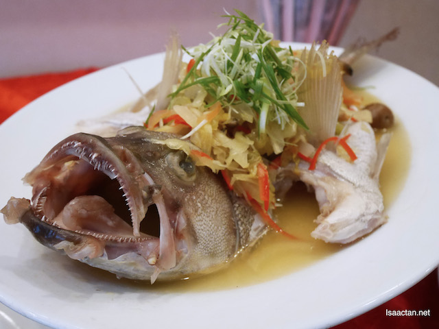 Isaactan.net: Garoupa & Snapper Delight @ Tung Yuen, Grand BlueWave ...