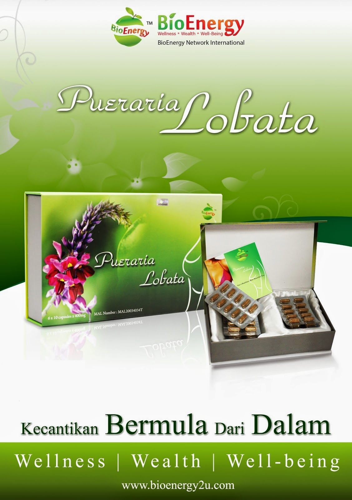 .:BioEnergy Network International:.: Jum kita dapatkan PUERARIA LOBATA