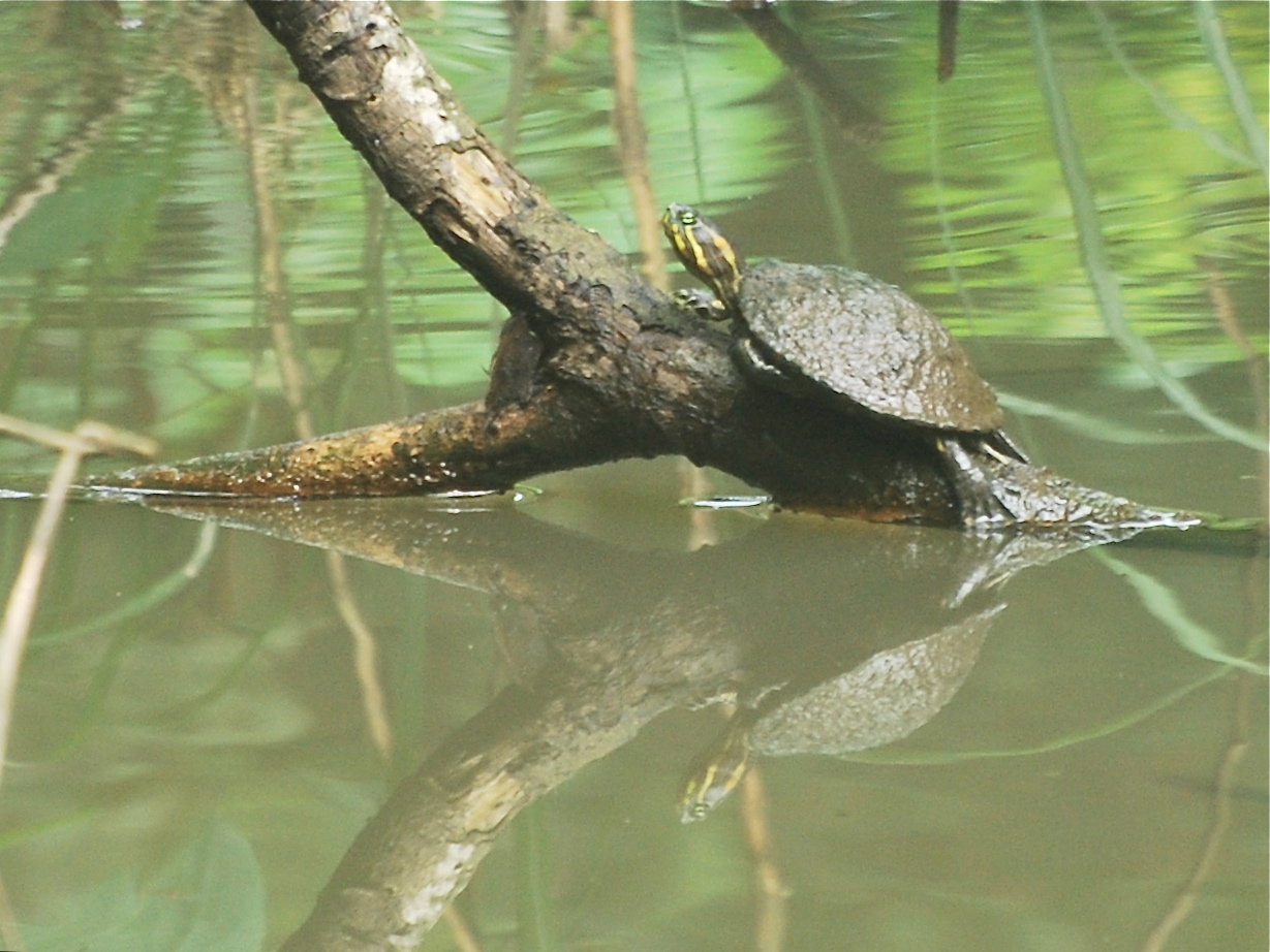 Jan Axel's Blog: October 2012