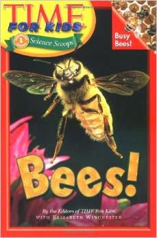 Nurturing Noggins: Buzz into Spring