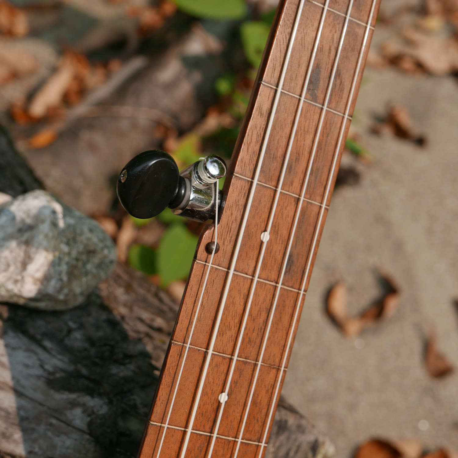 1880s Buckbee 5-String Fretless Banjo