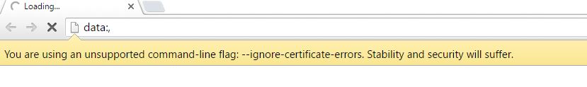 Selenium Webdriver You Are Using An Unsupported Command Line Flag