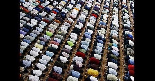 The Old Jarhead: Rights