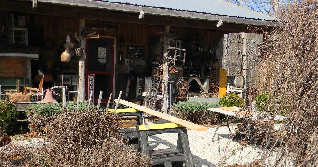 Notforgotten Farm : ~ What have we done