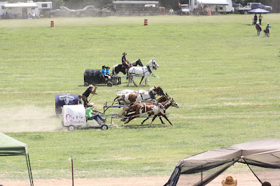 PairADice Mules: Rock Bottom Chuckwagon Races