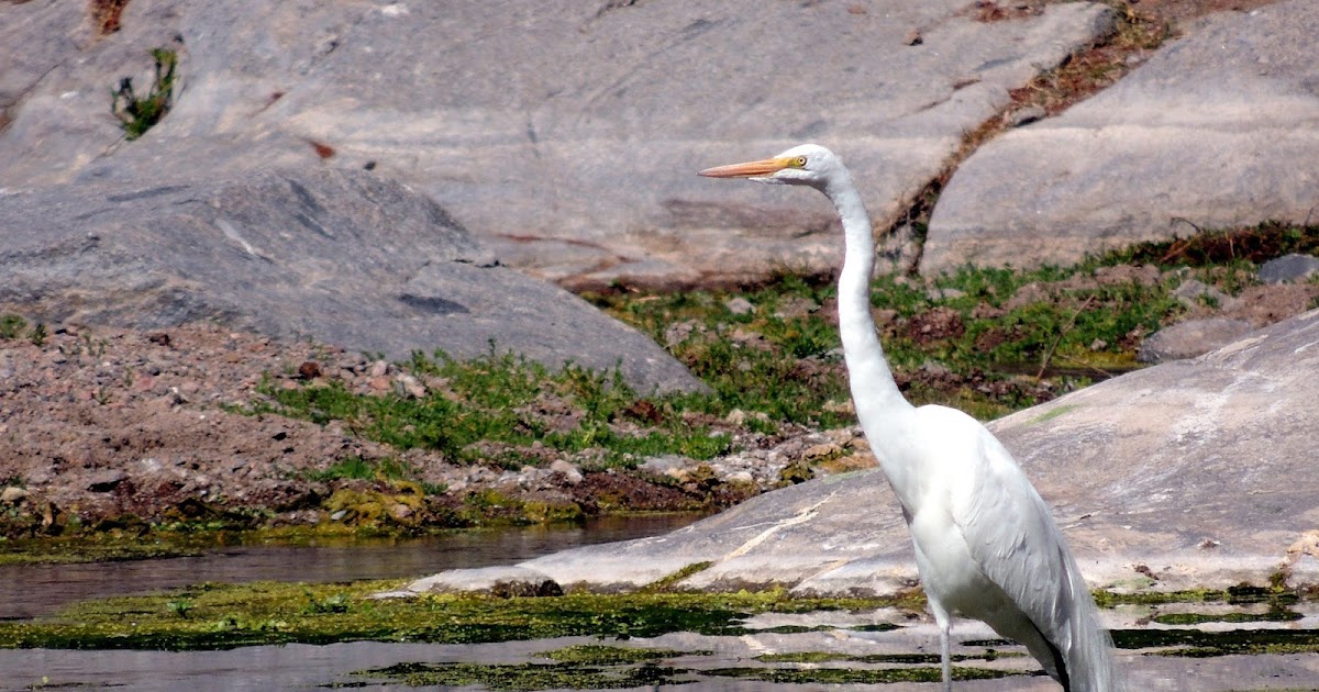 Garza ave wallpapers