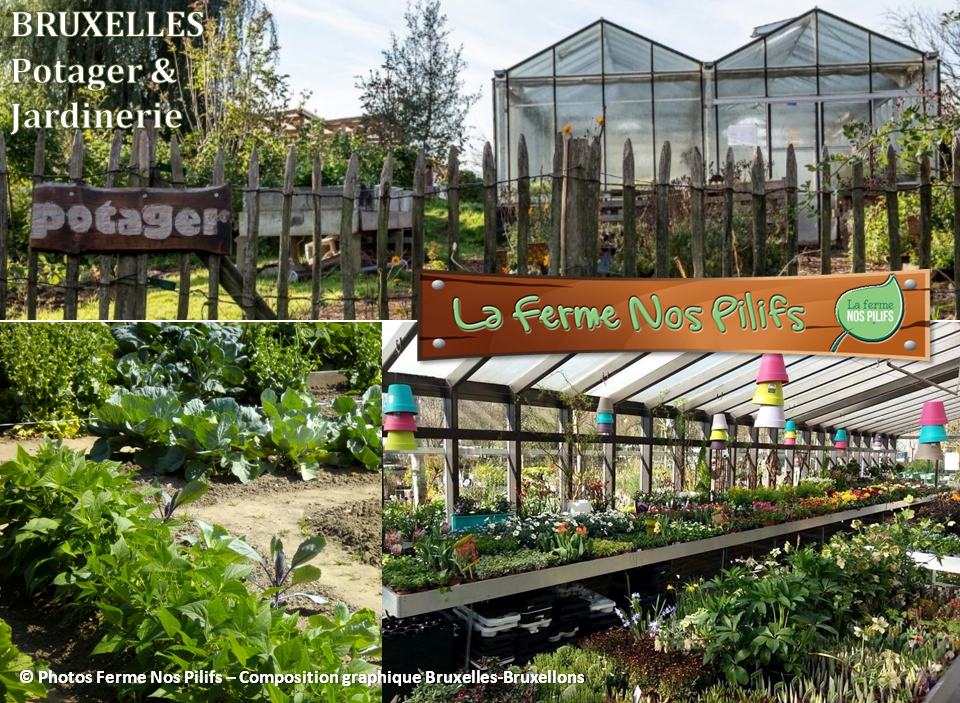 Bruxelles-Bruxellons: NOS PILIFS - Une ferme bruxelloise et bien plus ...