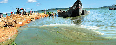 Lab 1G Lake Victoria : 2013