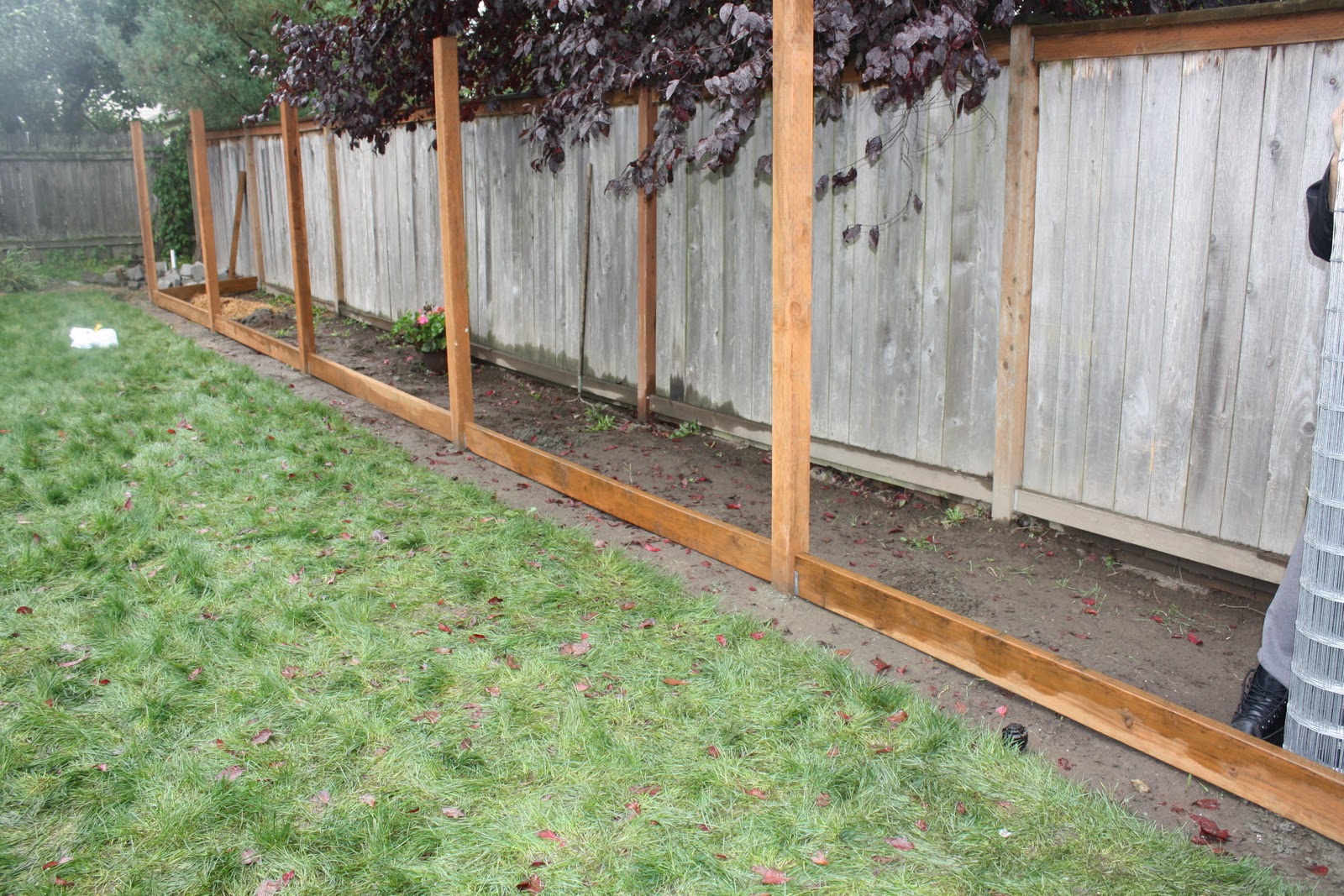 Domestically Dobson: Dog Run Fun