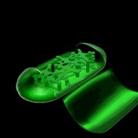 Blog de Biologia: Citoplasma e organelas