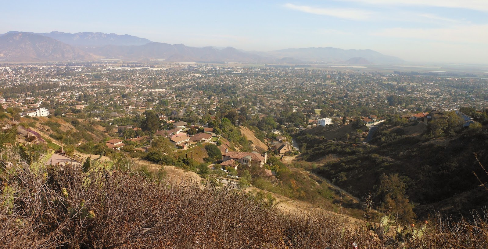 1000 Hikes in 1000 Days: Days 601 - 604: Old Coach Drive & Eldred ...