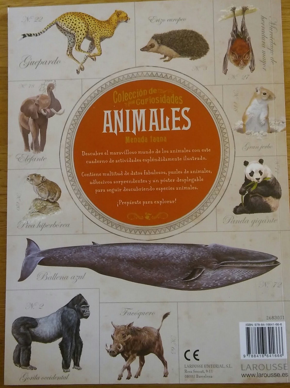 Mi corazon y yo.: Reseña Animales. Cuaderno de Actividades. Editorial ...