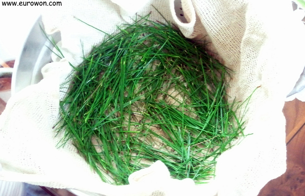 Songpyeon, los pastelitos coreanos típicos del Chuseok [Eurowon]