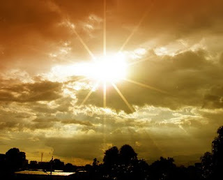 SENY I RAUXA: d’abril 2011