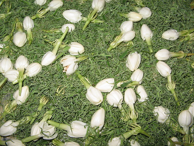 Jom Tanam Bunga: Bunga Pun Kahwin?