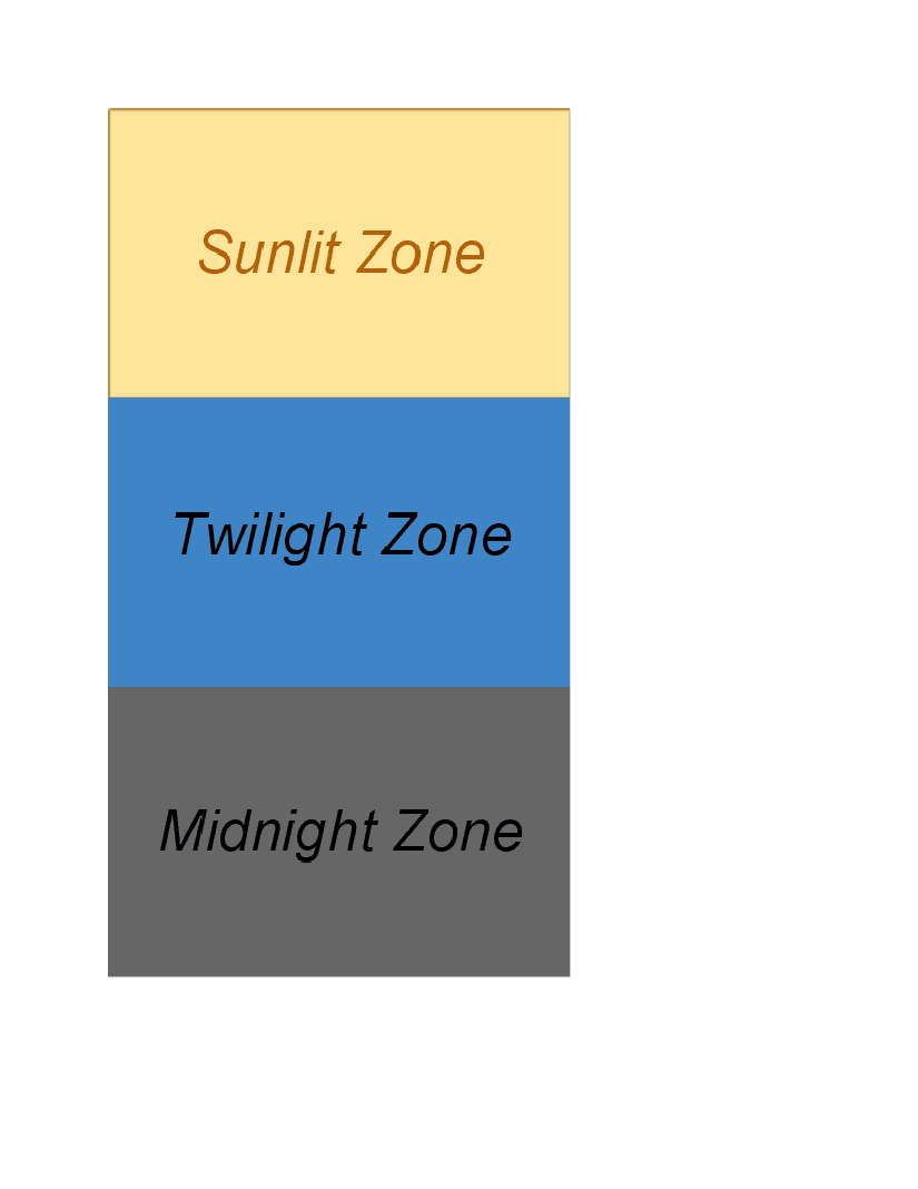 Ocean Zones Sunlight Twilight Midnight
