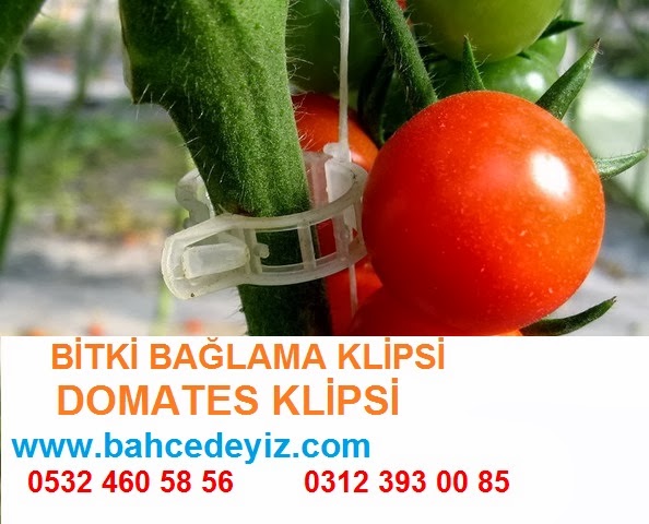 www.bahcedeyiz.com: Bitki klipsi,bitki klipsleri,domates klipsi,bitki ...