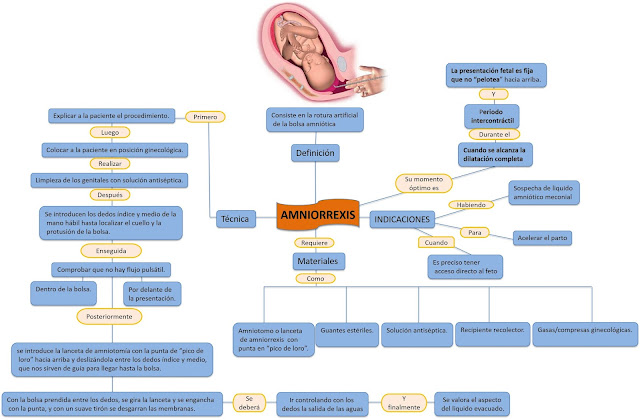 Ginecología y Obstetricia: Amniorrexis y episiotomía