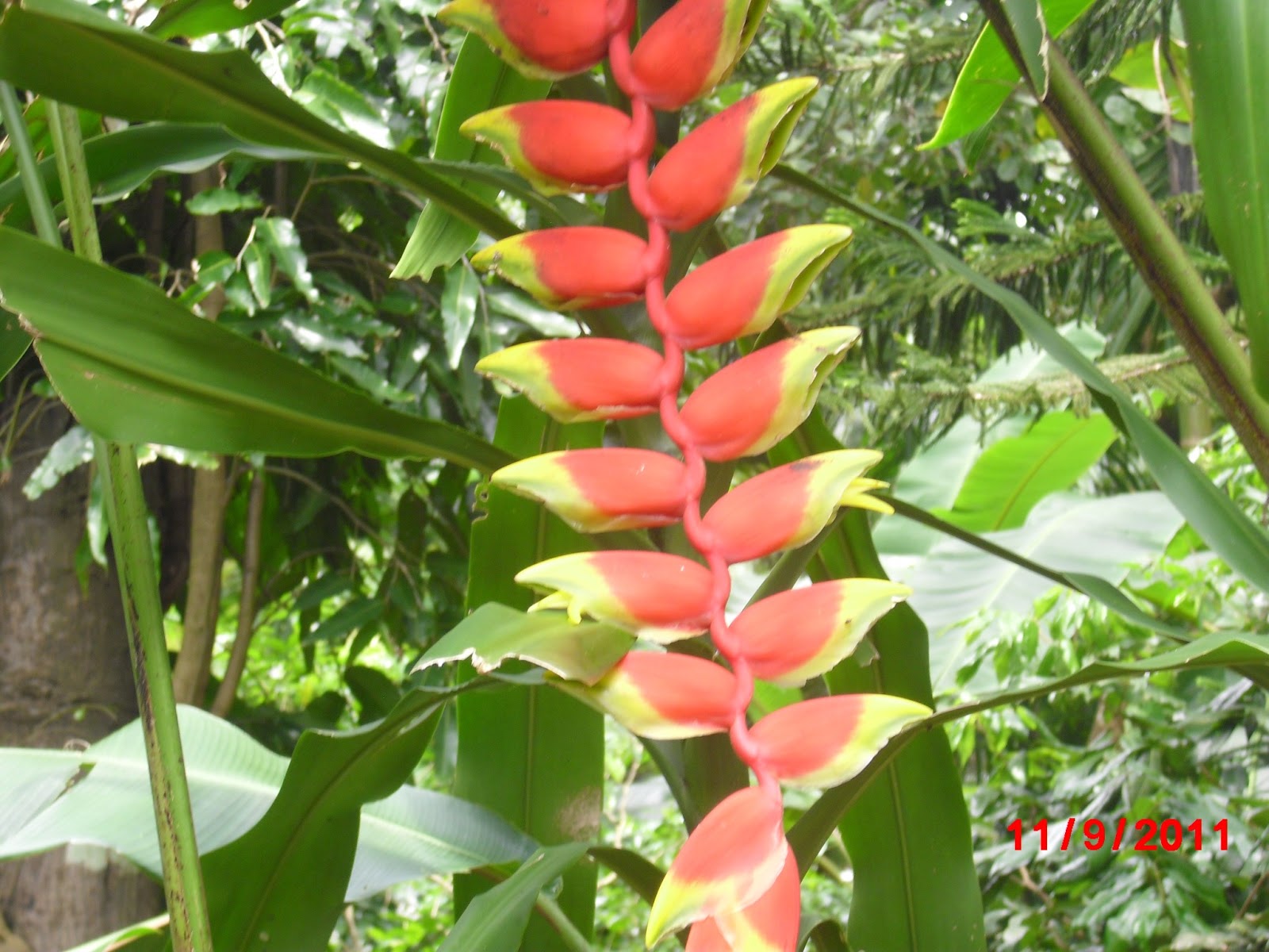 GOA, INDIA | kiwicolors