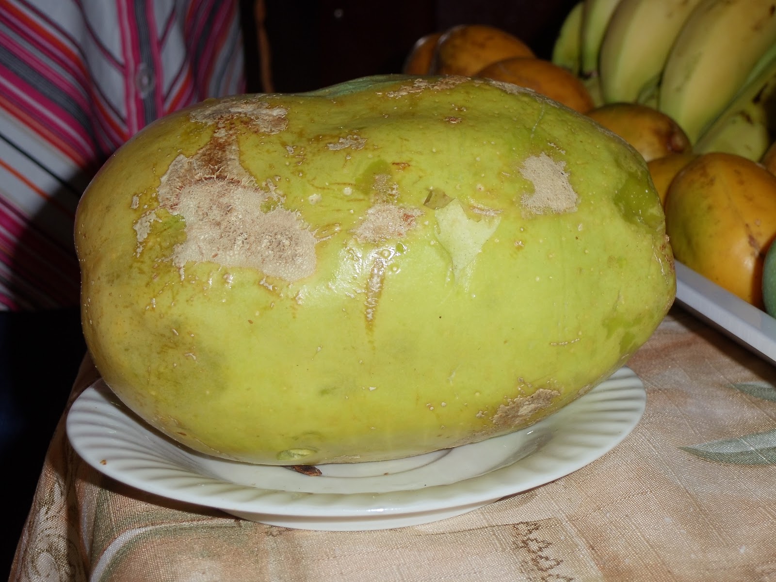 Guyana, meet Evanna. : Fruits of Guyana