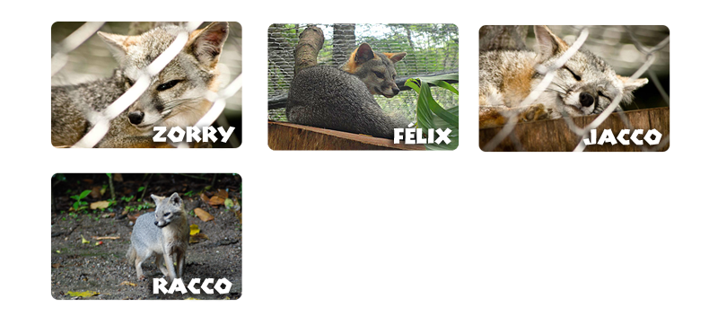 Tourism In El Salvador : Fundacion Refugio Salvaje (FURESA)